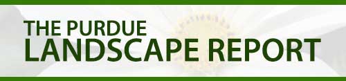 18-20 Education Edition Archives - Purdue Landscape Report