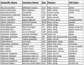 Native Shrubs For Fall Color