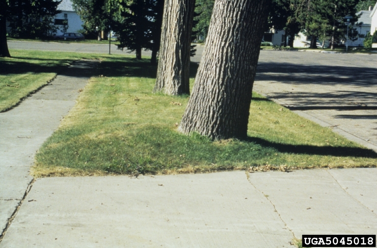 If it Doesn’t Hurt Your Heart, it Will Feel Like a Kick in the Butt ...