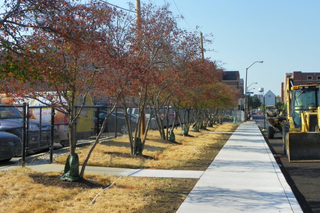 Urban Trees and Climate Change - Purdue Landscape Report