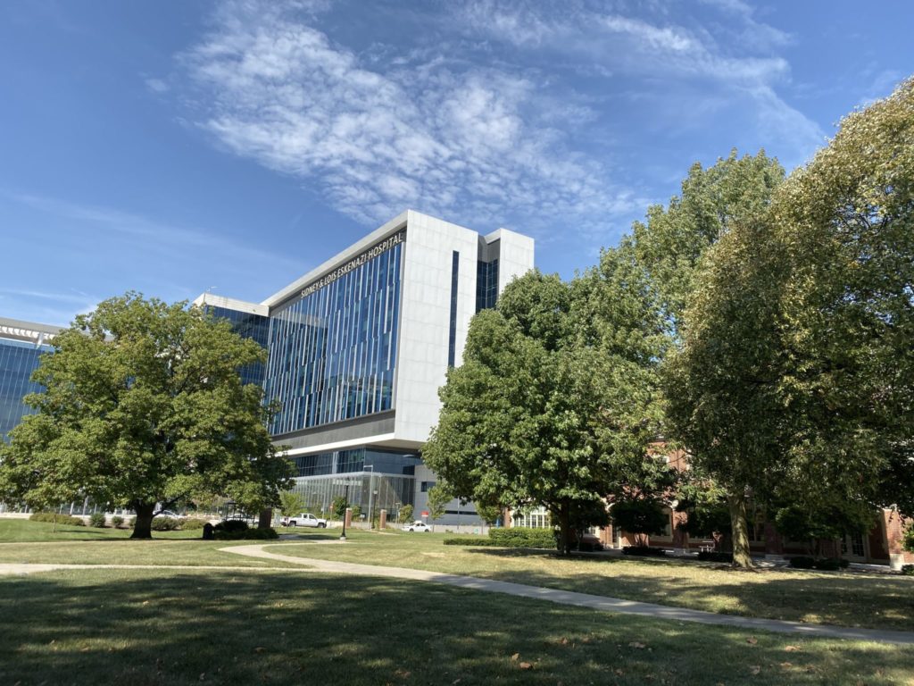 We need trees and here’s why… - Purdue Landscape Report