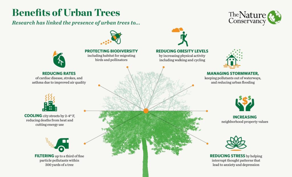 We need trees and here’s why… - Purdue Landscape Report