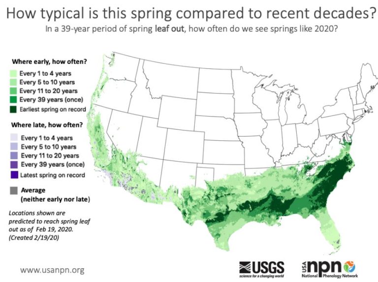 Early Spring=Earlier Germinating Weeds