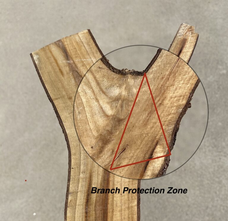 Branch component identification for better pruning cuts
