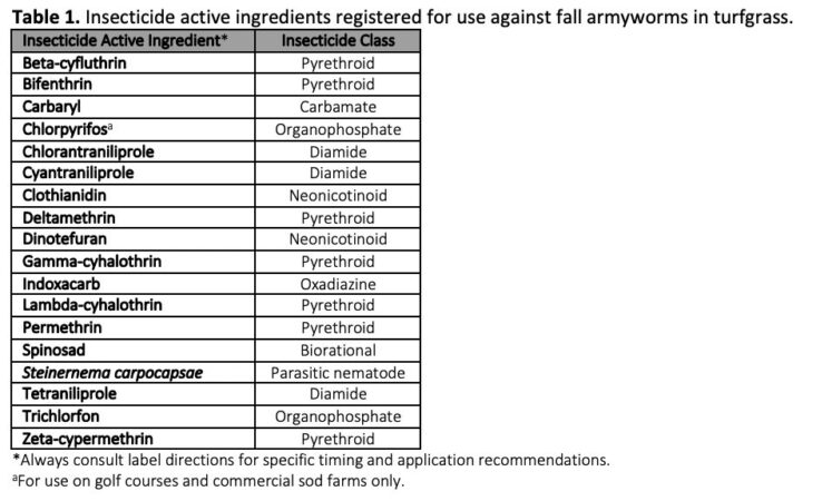 Fall Armyworms: What next?