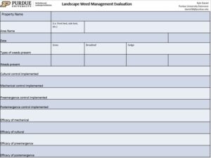 Developing a Weed Management Plan for Your Properties