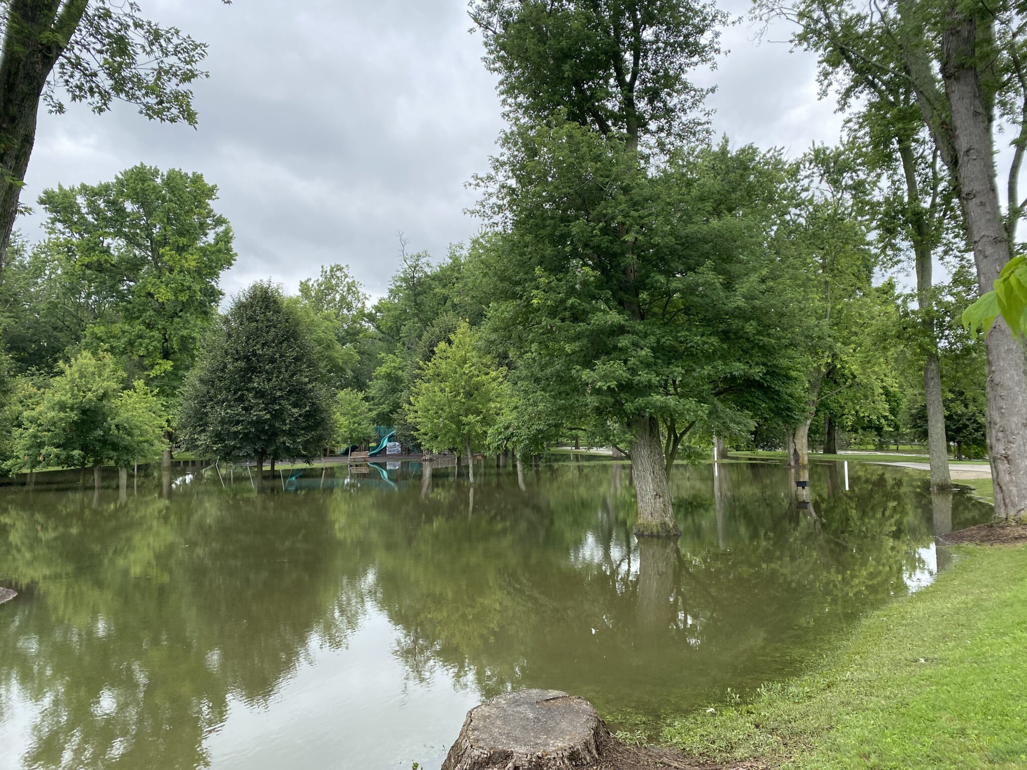 Flood Damage to Trees