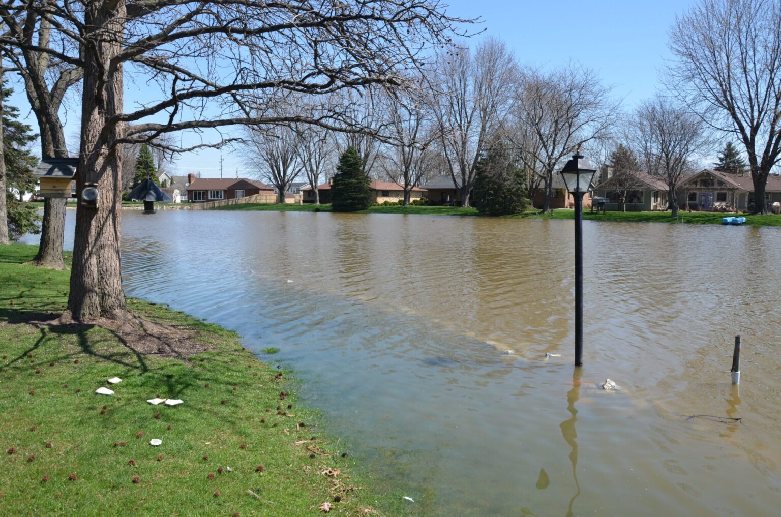 Flood Damage to Trees