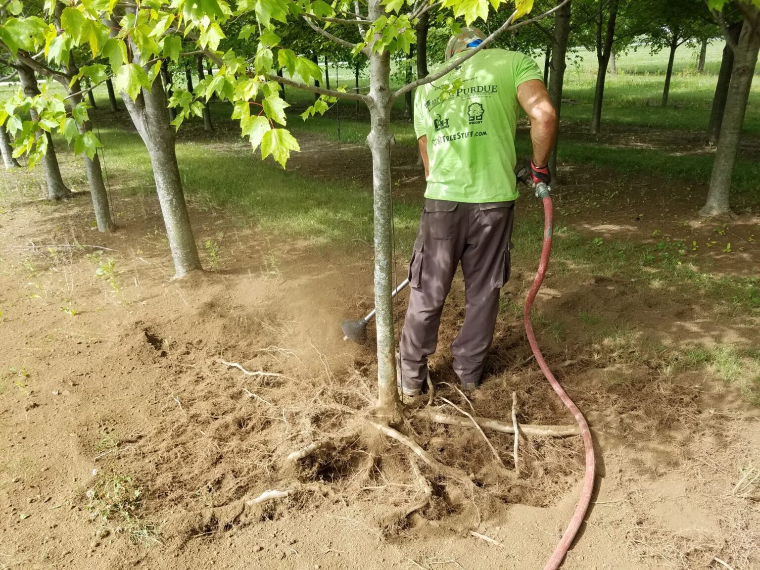 Using Pneumatic Digging Equipment to Correct Root Deformations, Deep ...