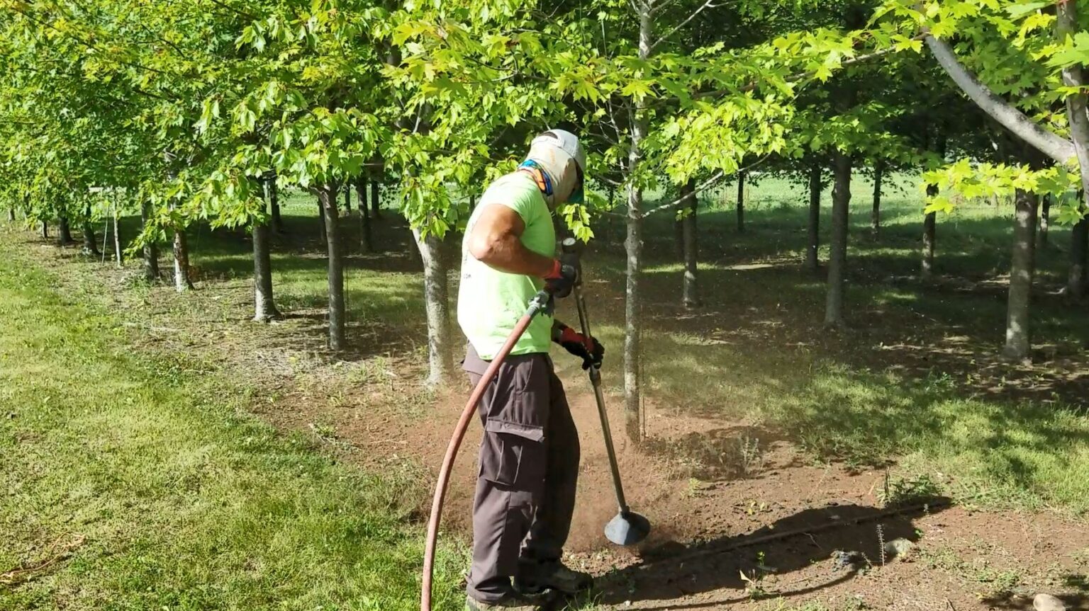 Using Pneumatic Digging Equipment to Correct Root Deformations, Deep ...