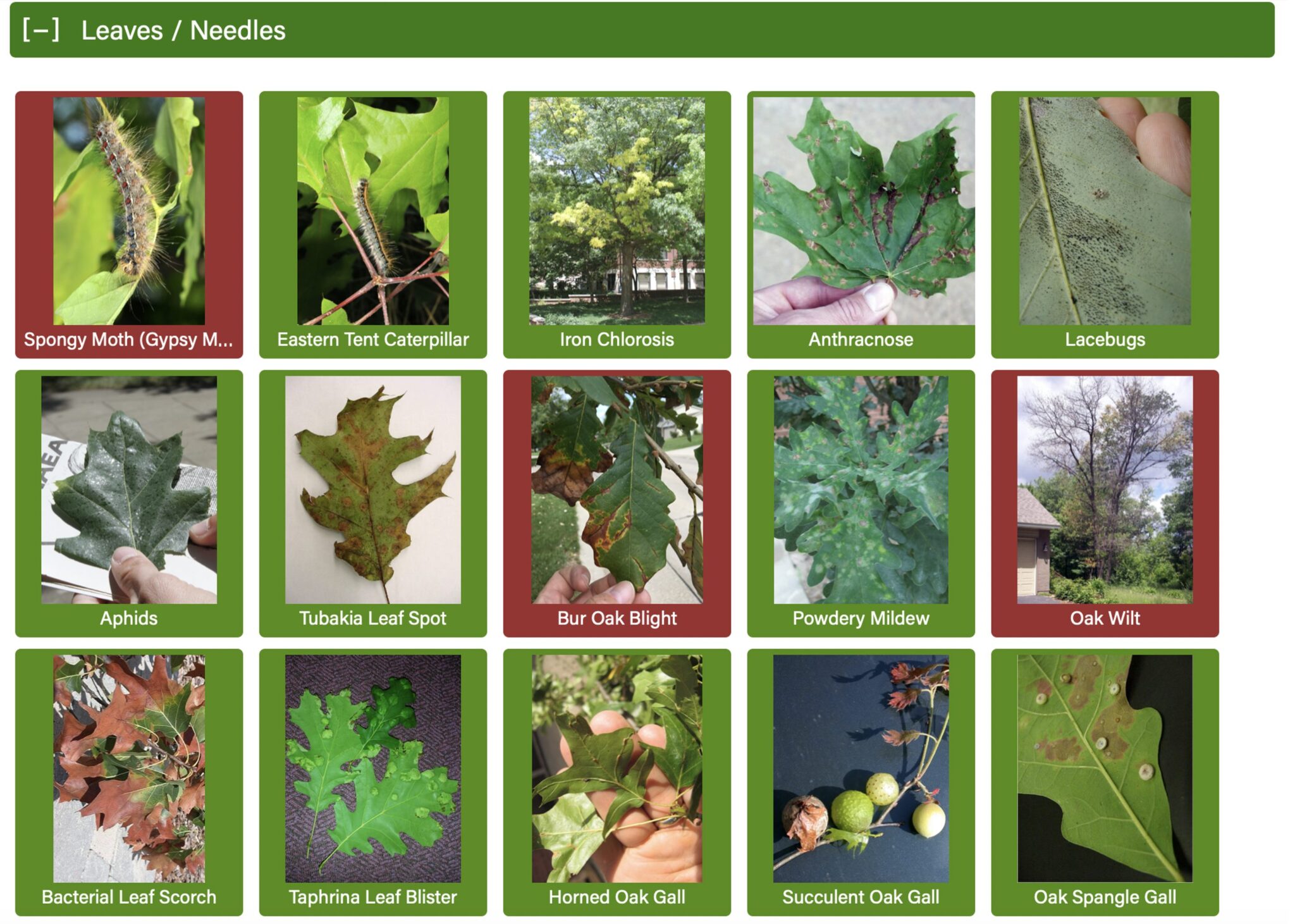 Plant Problems? There’s a mobile-friendly website for that! - Purdue Landscape Report