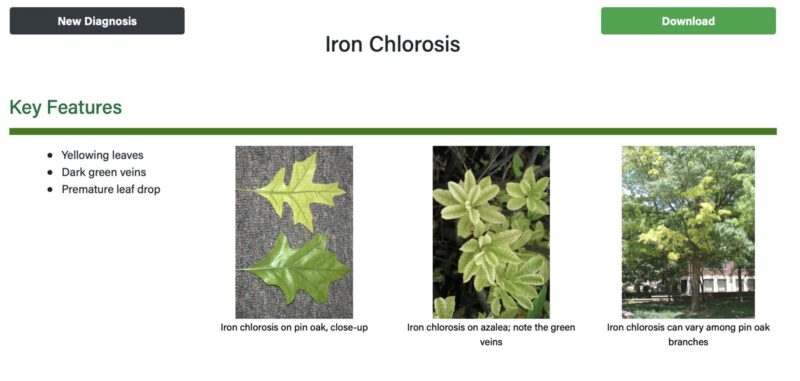 Plant Problems? There’s a mobile-friendly website for that! - Purdue ...