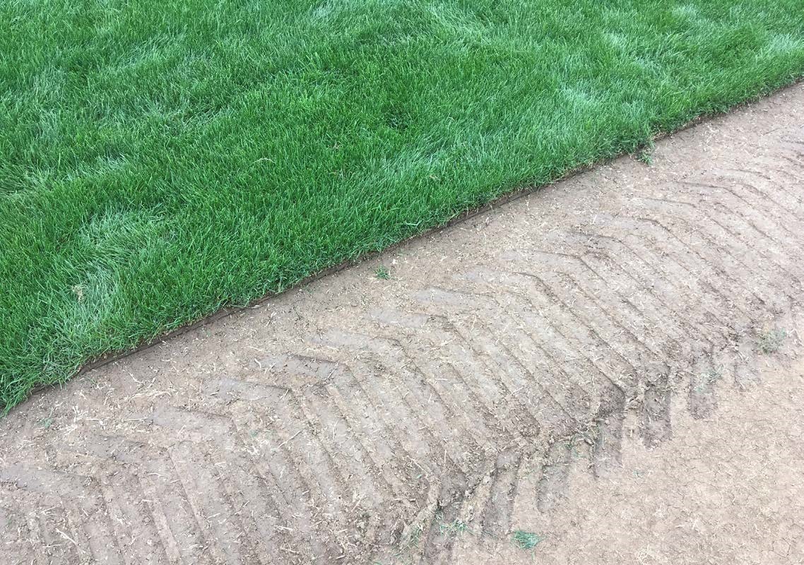 Projected Costs and Returns Associated with the Production of Kentucky ...