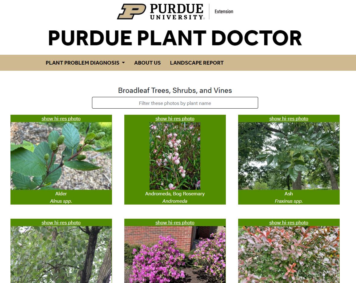 Purdue Professors Featured on National Podcast