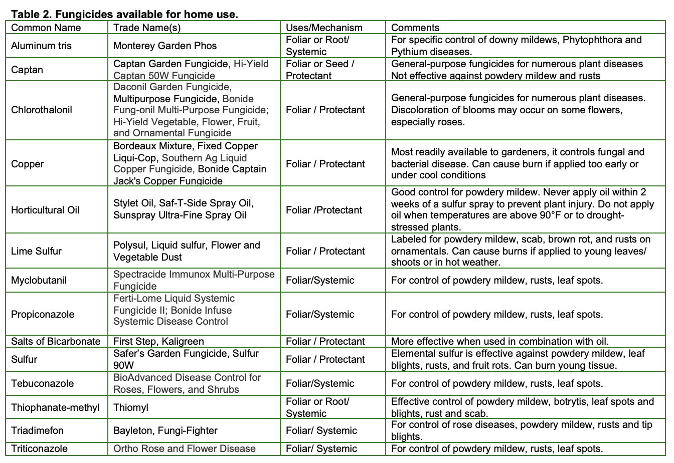 Fungicides, Homeowners, and the Garden Center