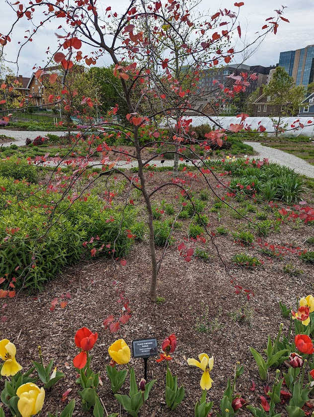 Welcome to the 2024 Purdue Landscape Report