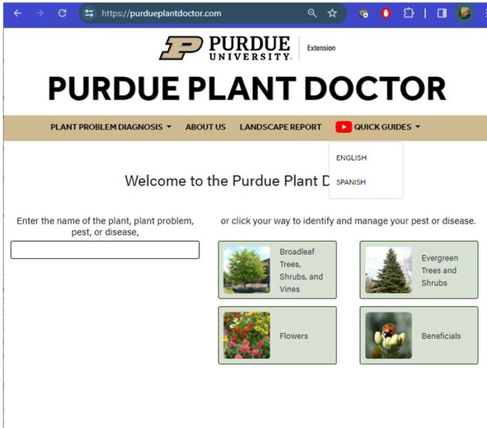 Learn to Diagnose Plant Problems with Quick Guide YouTube Videos