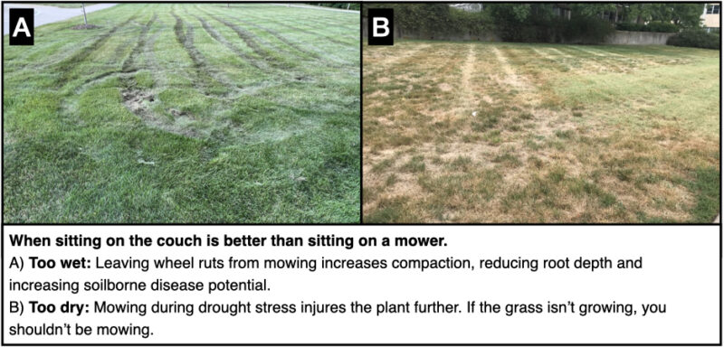 Purdue Landscape Report – Resources for landscapes and gardens in the ...